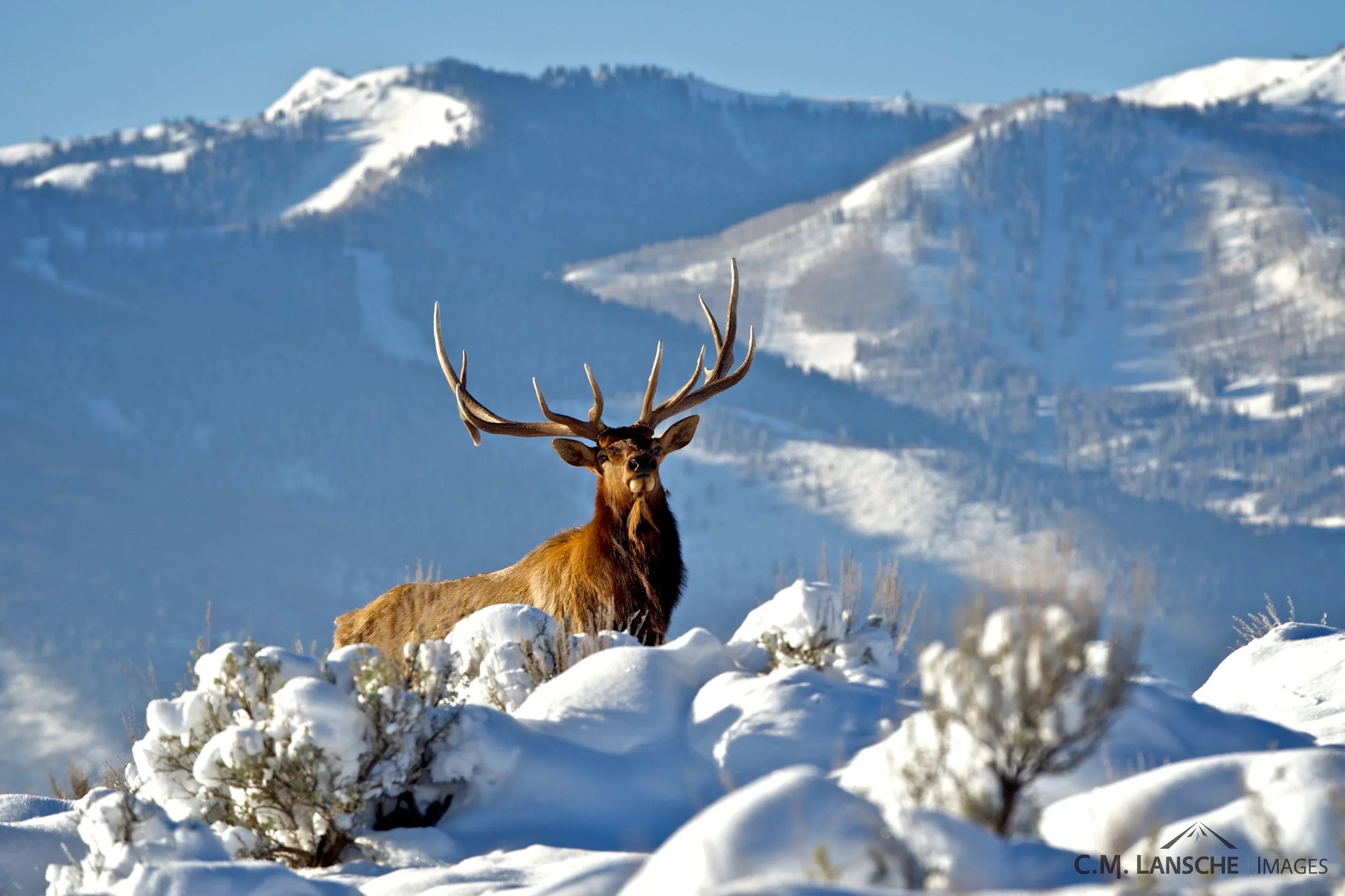 SUMMIT LAND CONSERVANCY