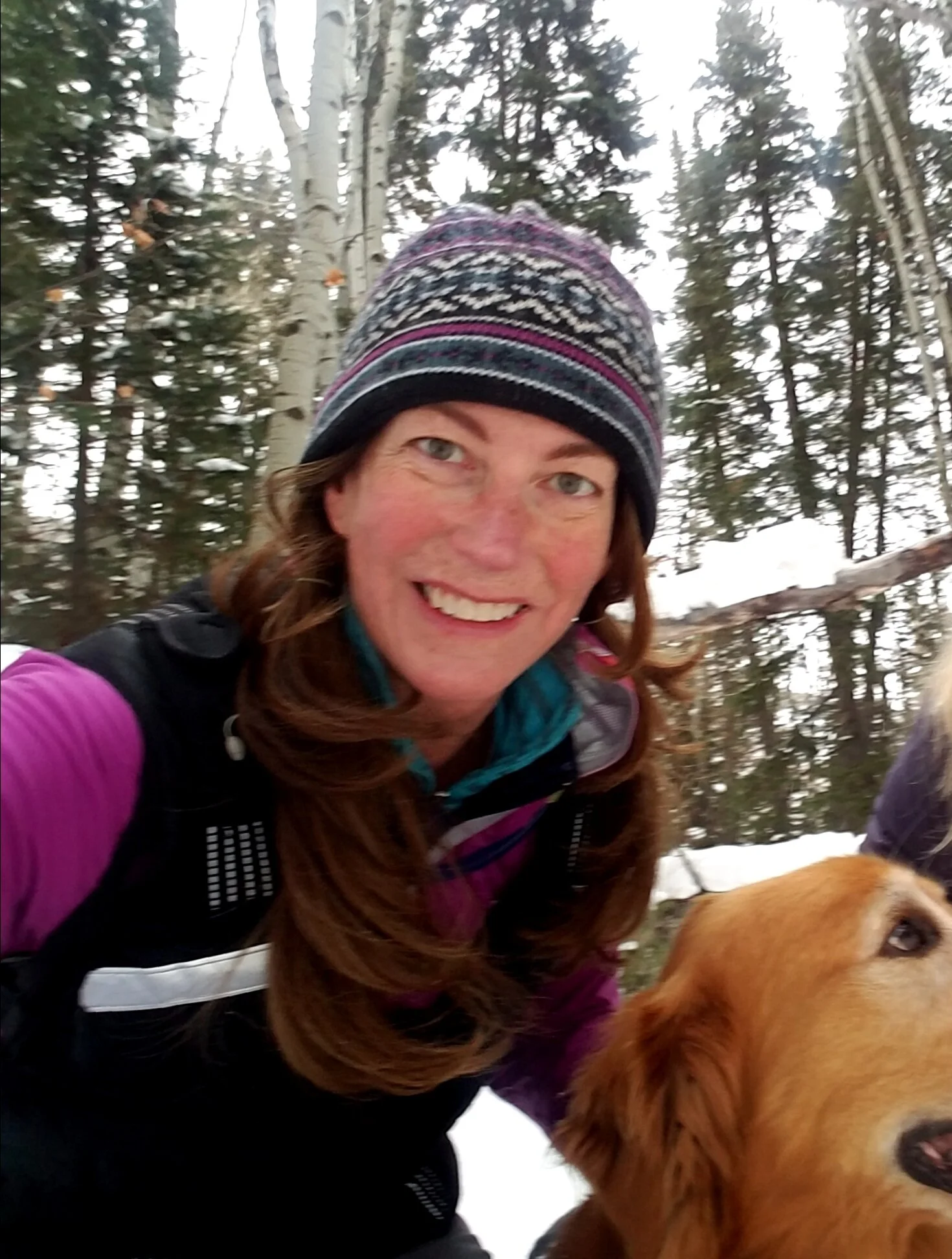 Team — SUMMIT LAND CONSERVANCY