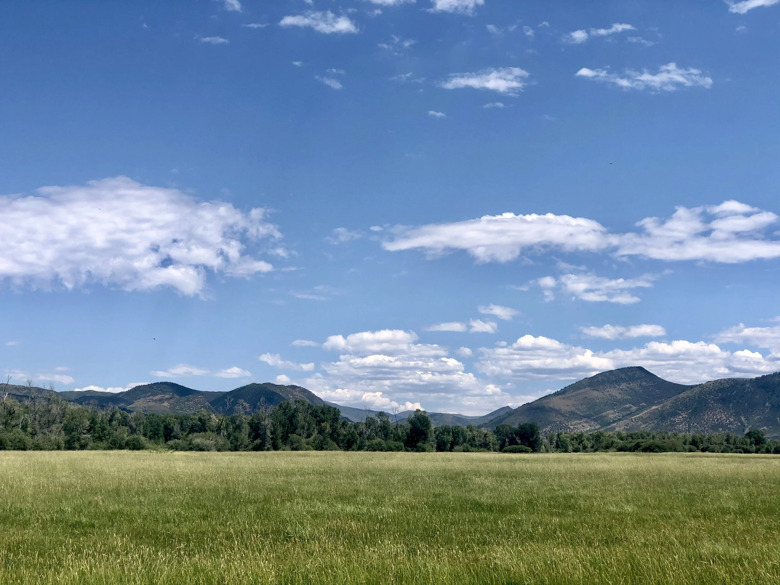 What We Do — SUMMIT LAND CONSERVANCY