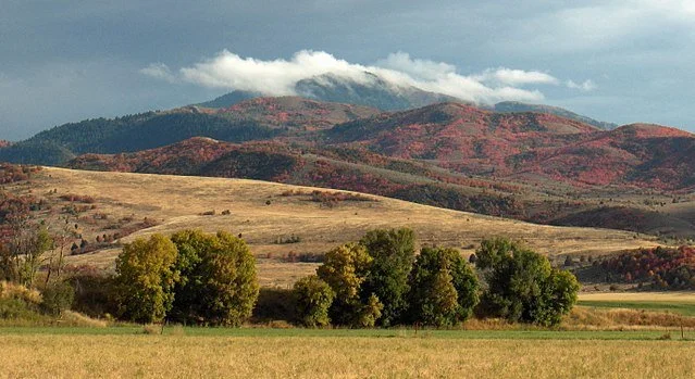 What We Do — SUMMIT LAND CONSERVANCY