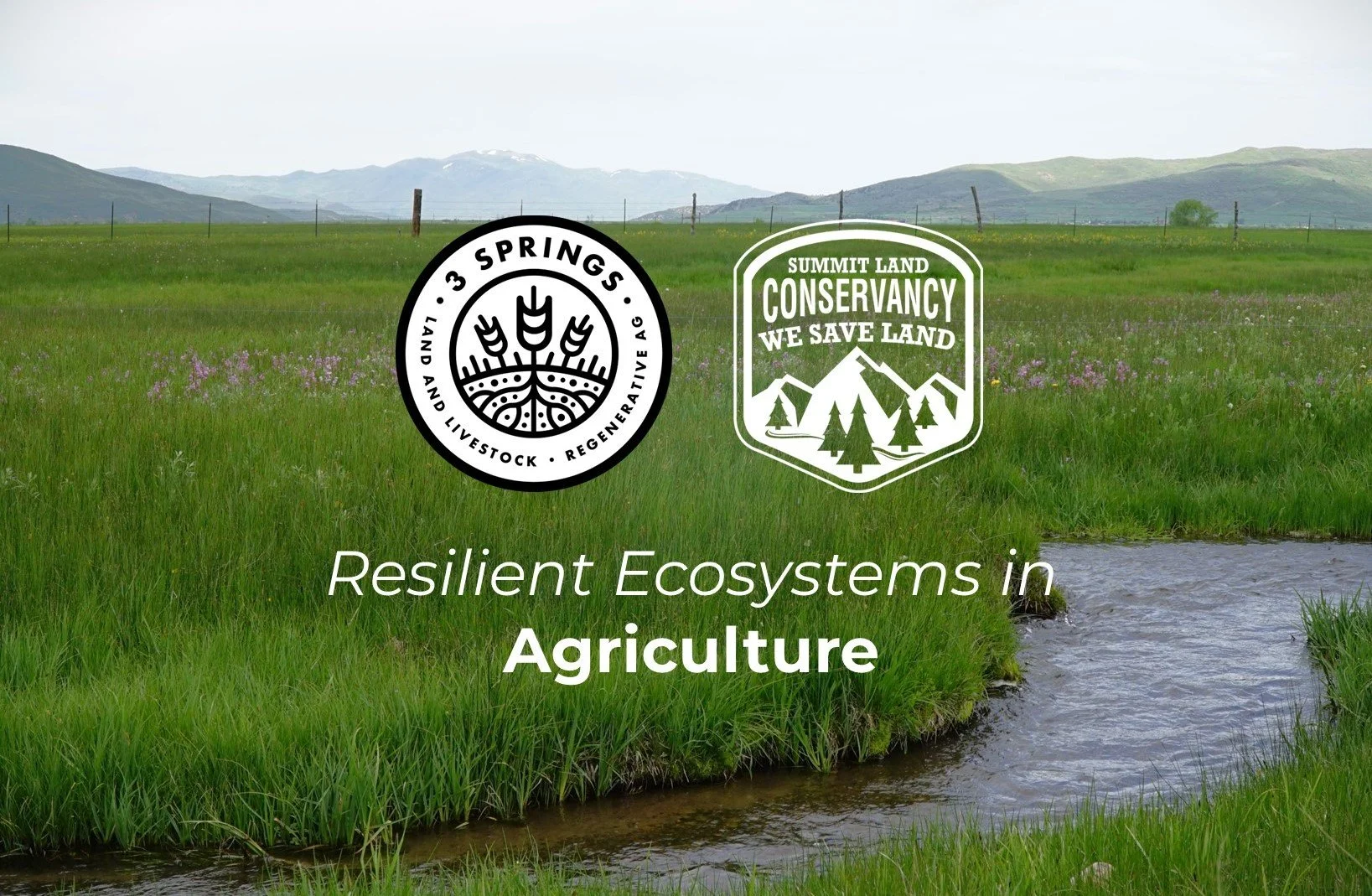 SUMMIT LAND CONSERVANCY