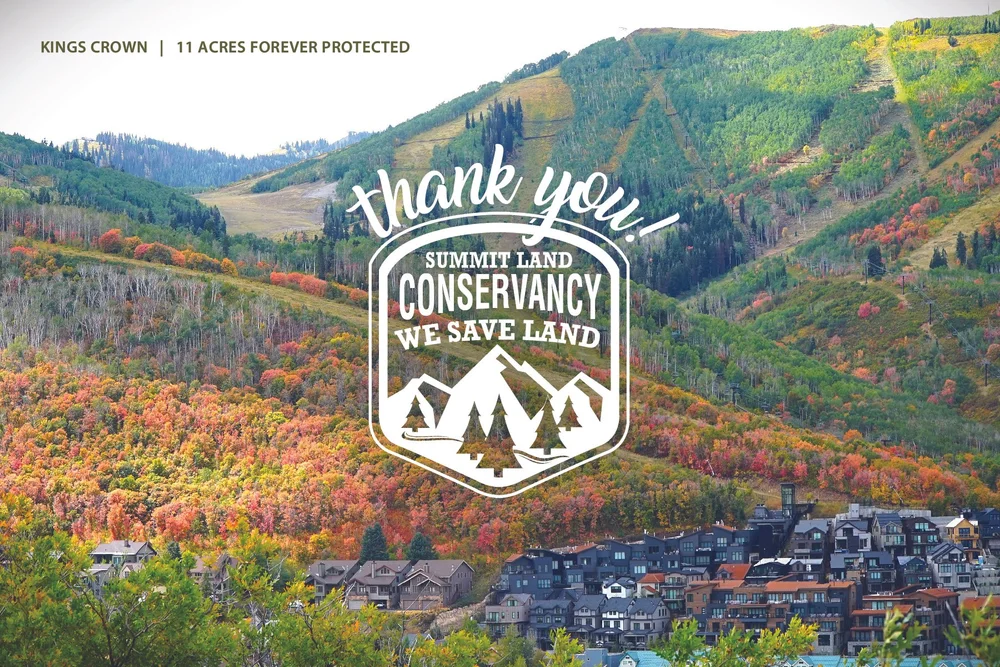 SUMMIT LAND CONSERVANCY