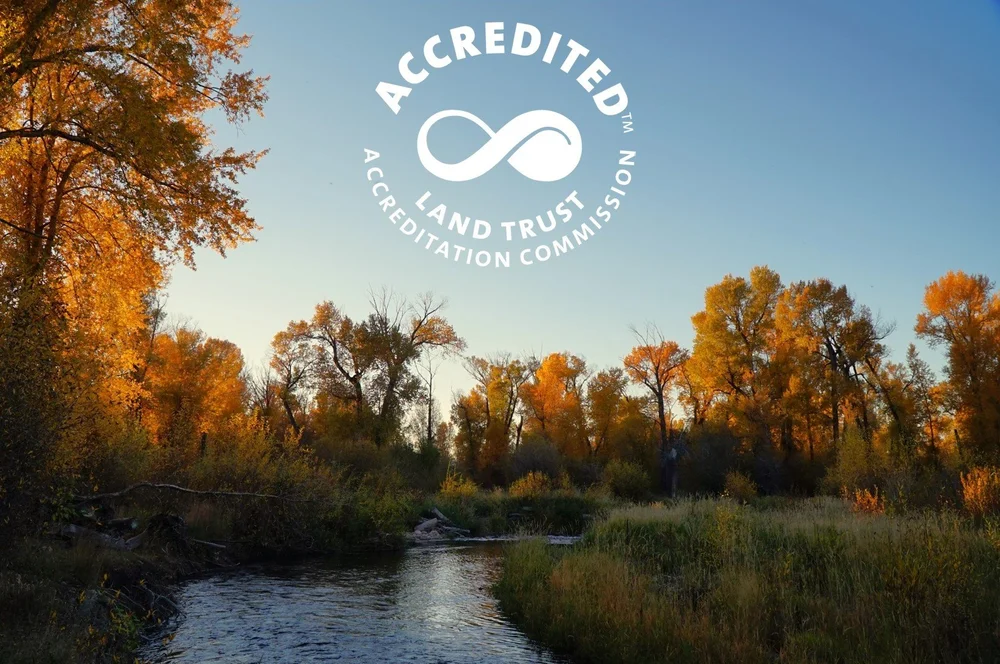 Happenings — SUMMIT LAND CONSERVANCY