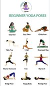 12 Basic Yoga Poses for Beginners — Yoga Gal
