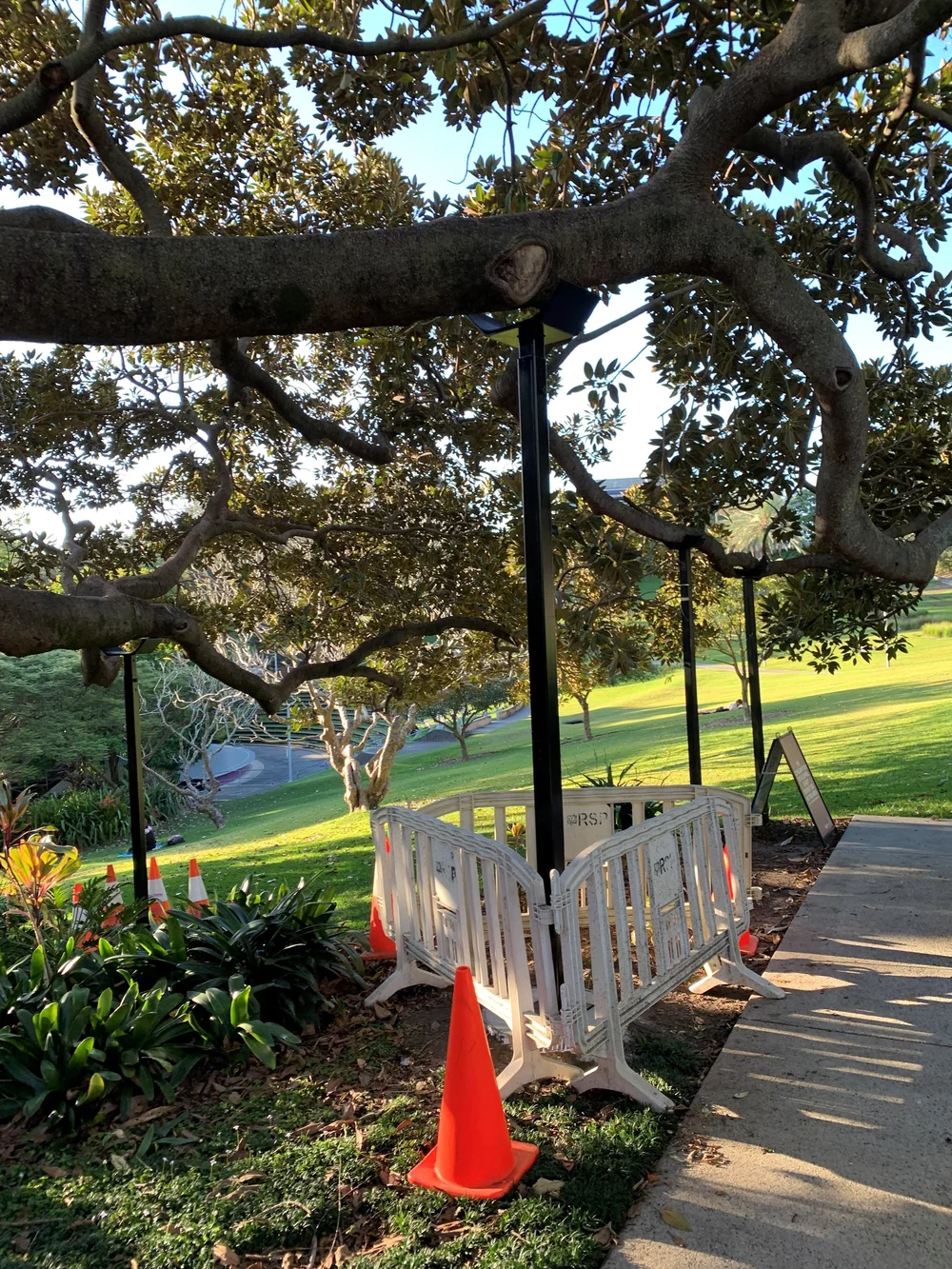 Tree Props — Independent Arboricultural Services