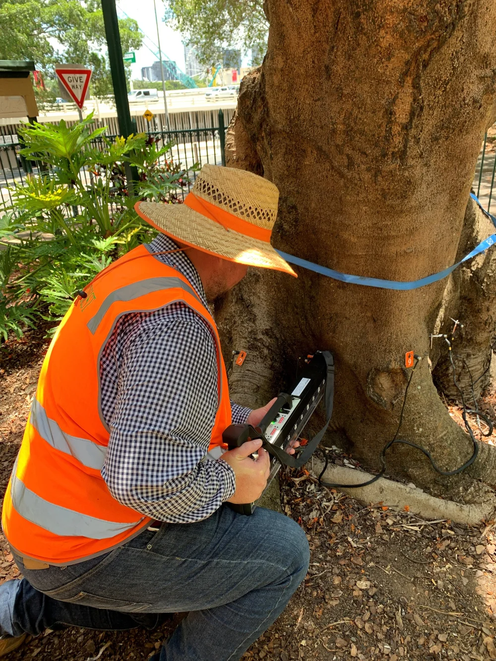 AQF level 5 - technical services, decay detection, tilt sensors ...