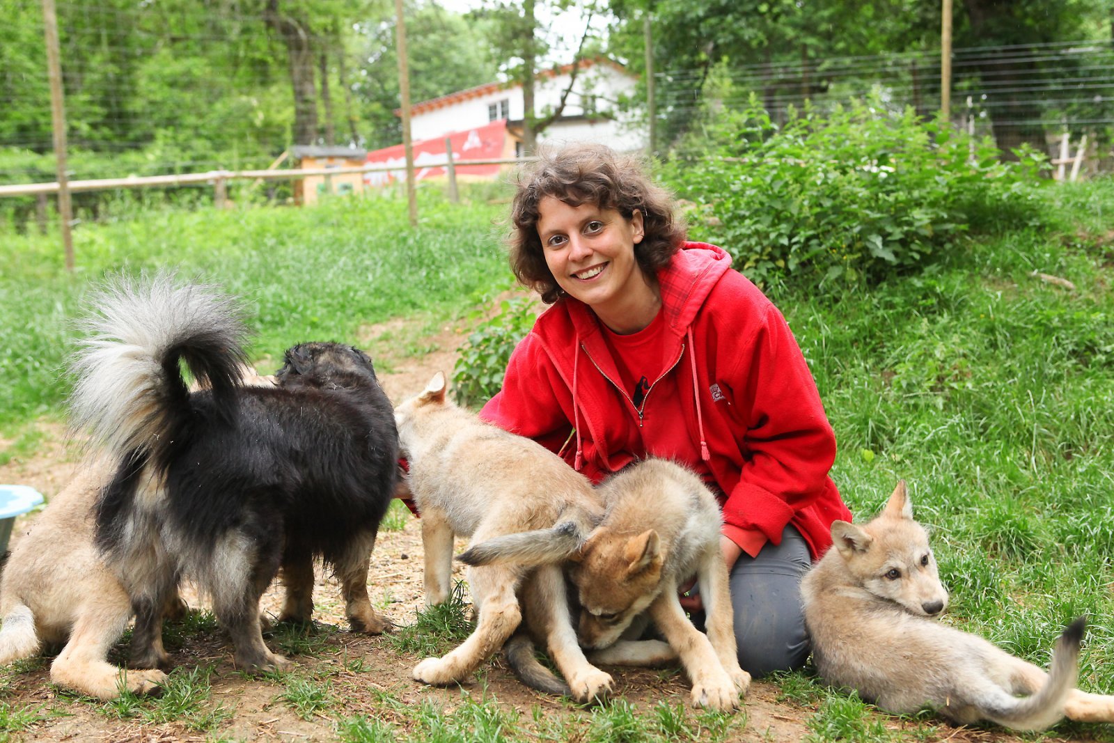 Canine Science Symposium