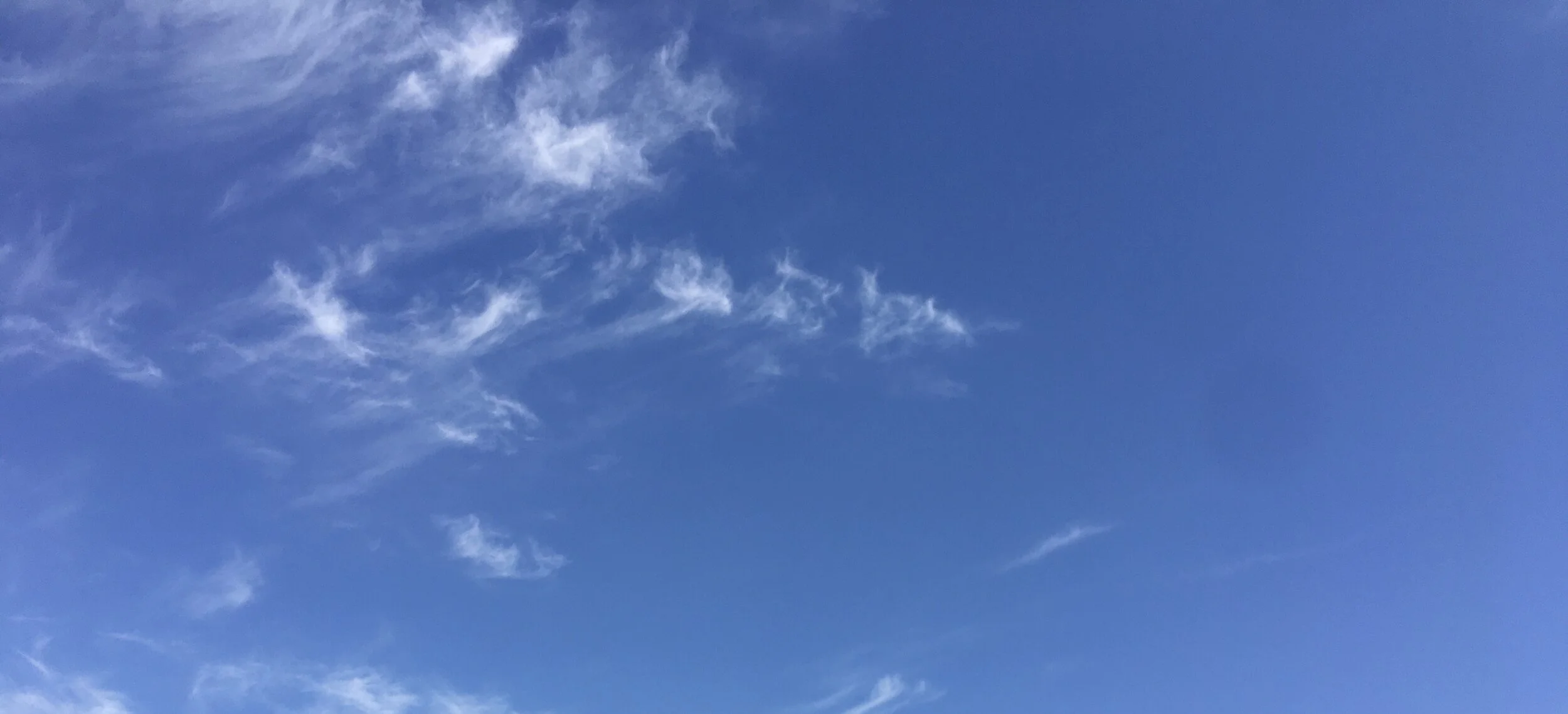 Bluesky Singing Toolkit — Bluesky Singing