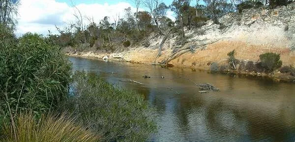 FRRR and Sally Foundation support restoration of the Pallinup River ...