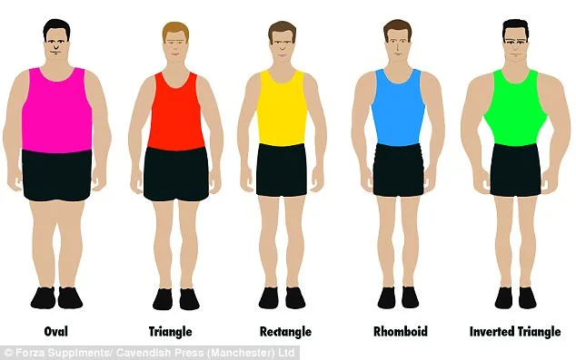 Rectangular Body Shape Men