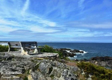 Marginal Way — D Sullivan Photography