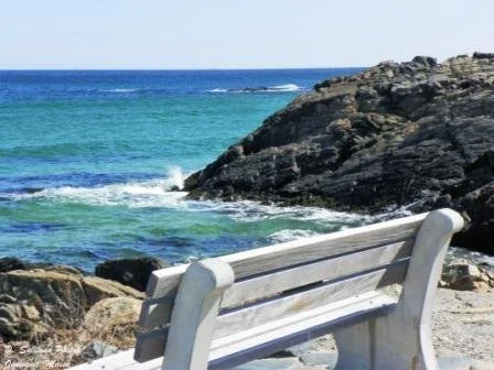 Marginal Way — D Sullivan Photography