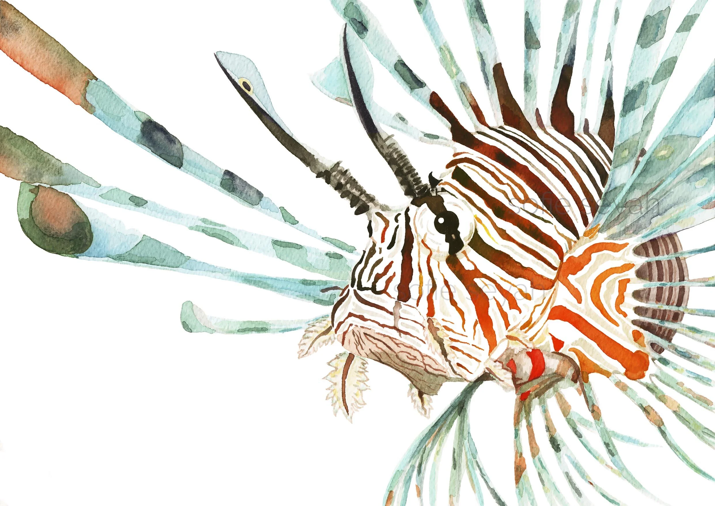 Watercolour and Ink Art Prints — sofie seyah