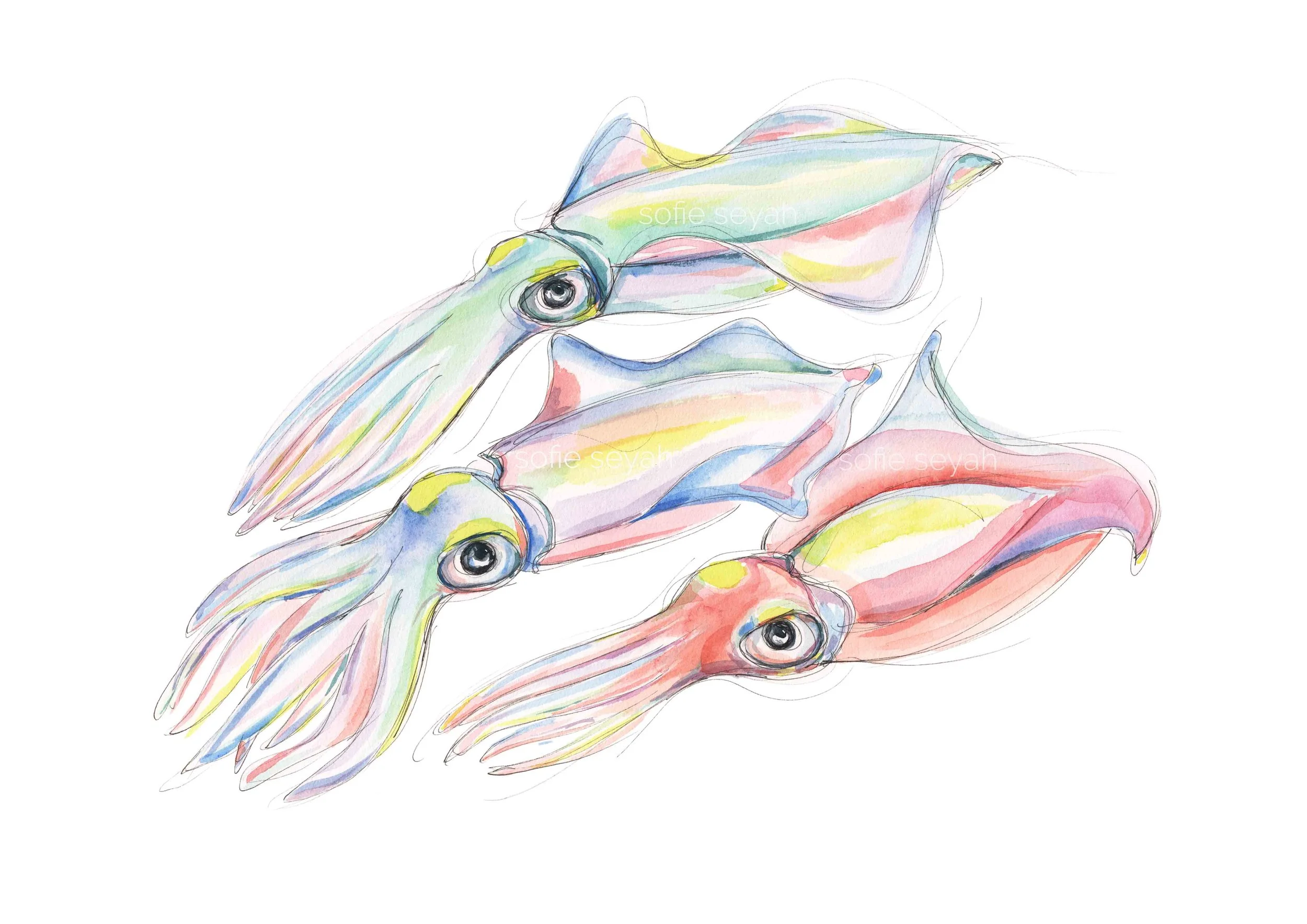 Watercolour and Ink Art Prints — sofie seyah