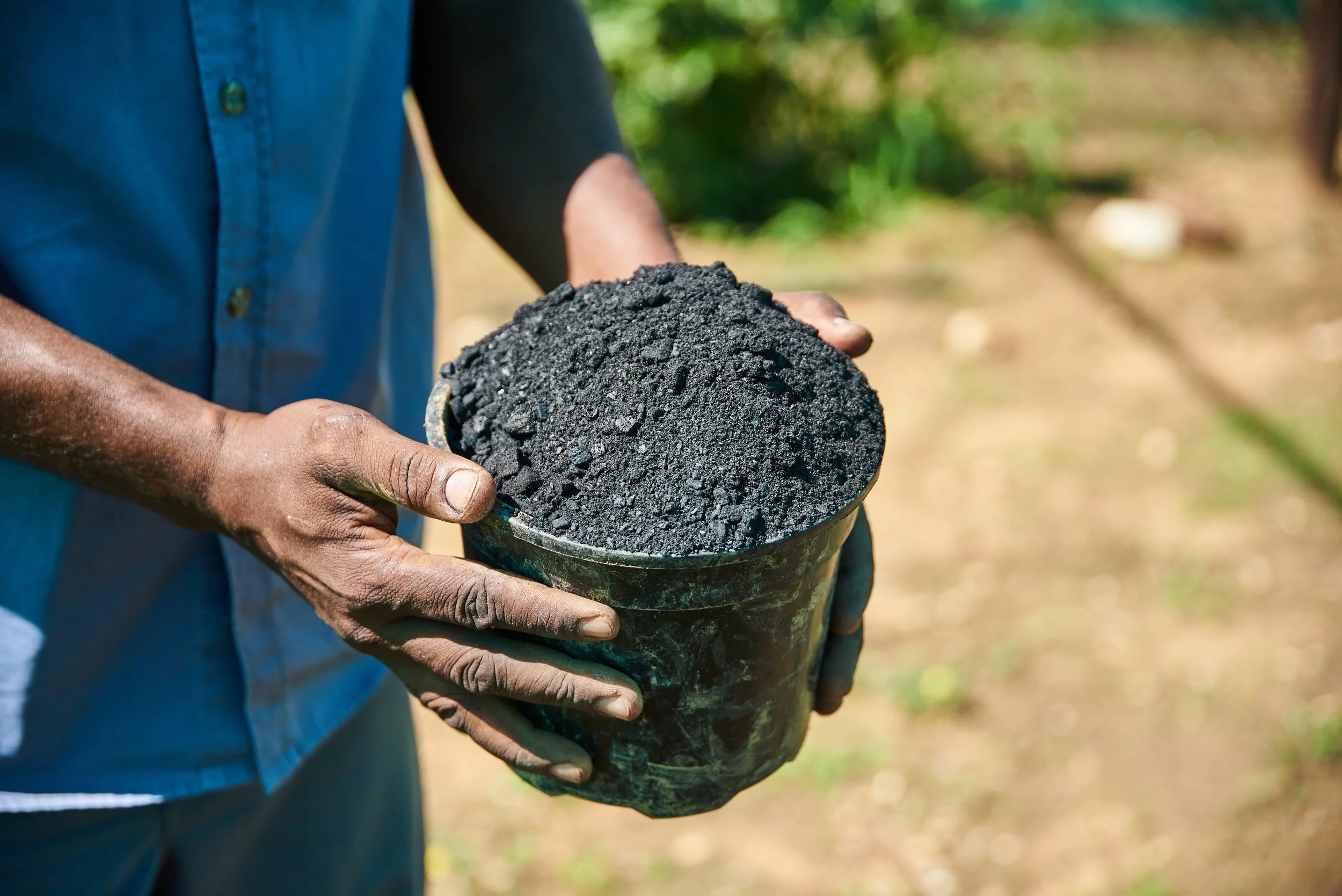 Launch of the Biochar Manual for Carbon Removal — Hamerkop