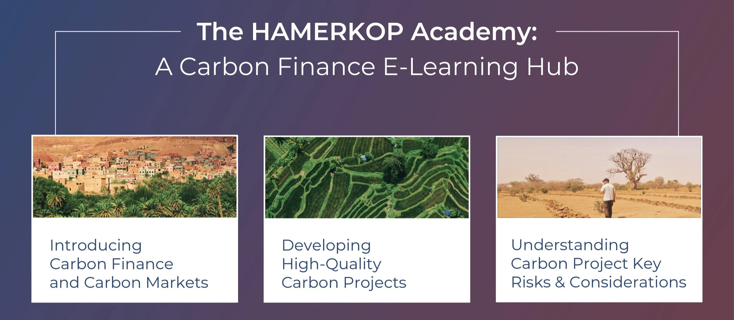 Resources — Hamerkop