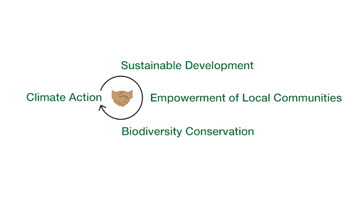 Assessing Carbon Co-Benefit Standards: Unlocking the Value of High ...