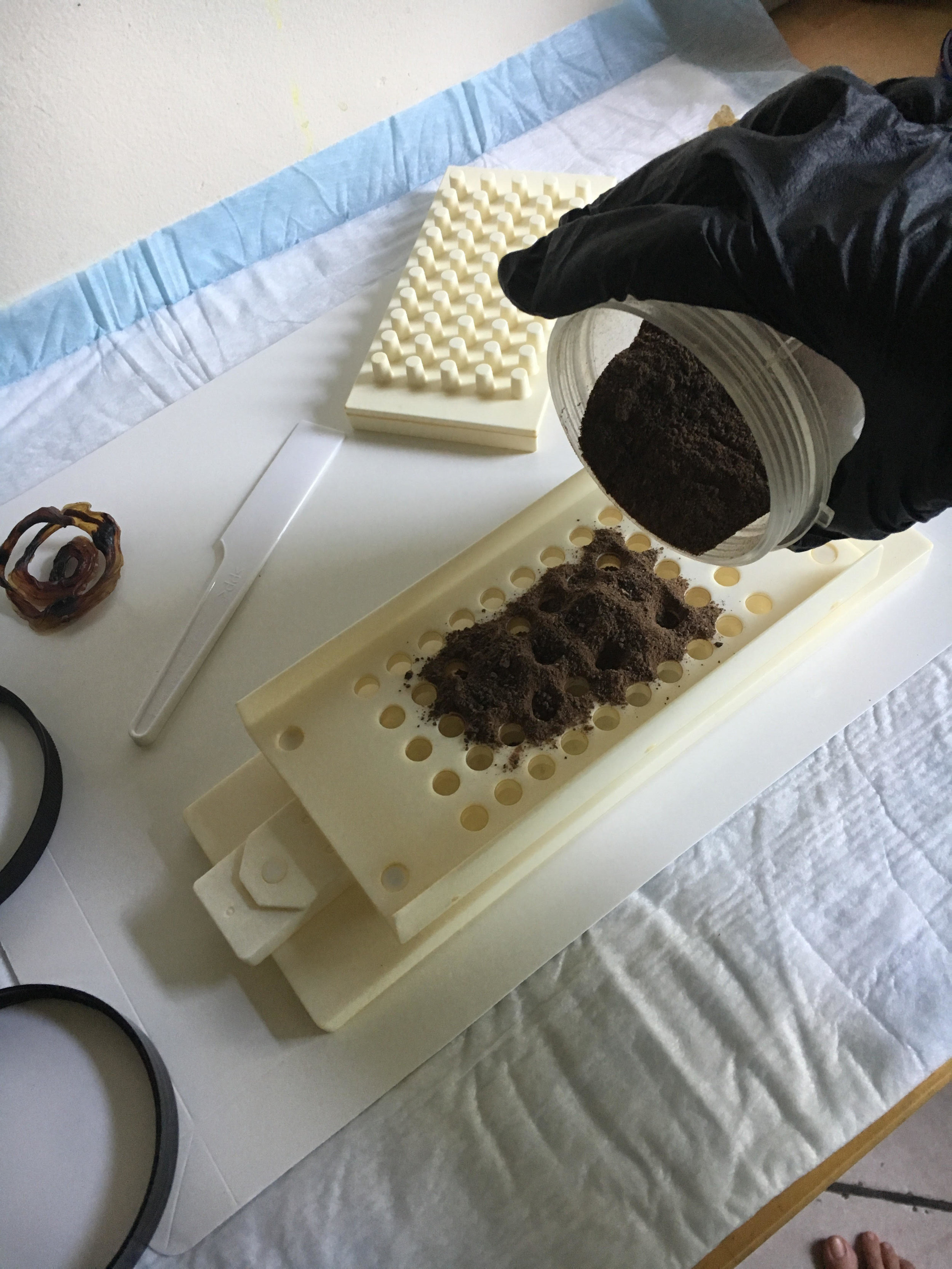 Placenta Encapsulation — ABC Doula