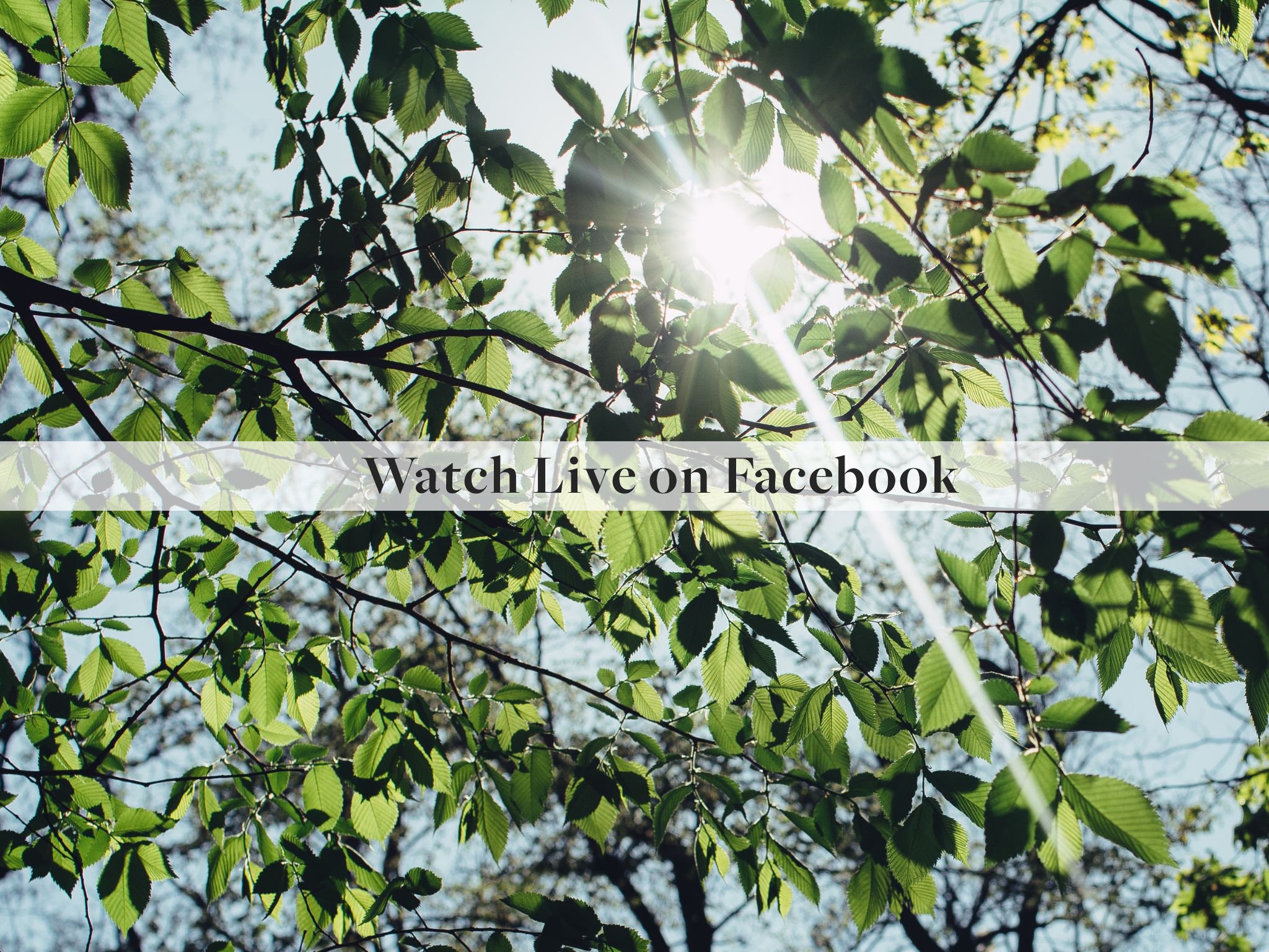 Watch Live — First Baptist Lexington