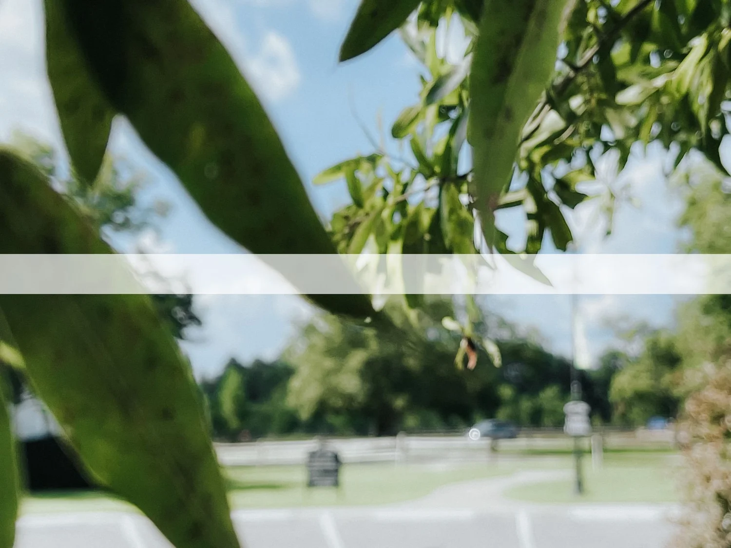 First Baptist Lexington