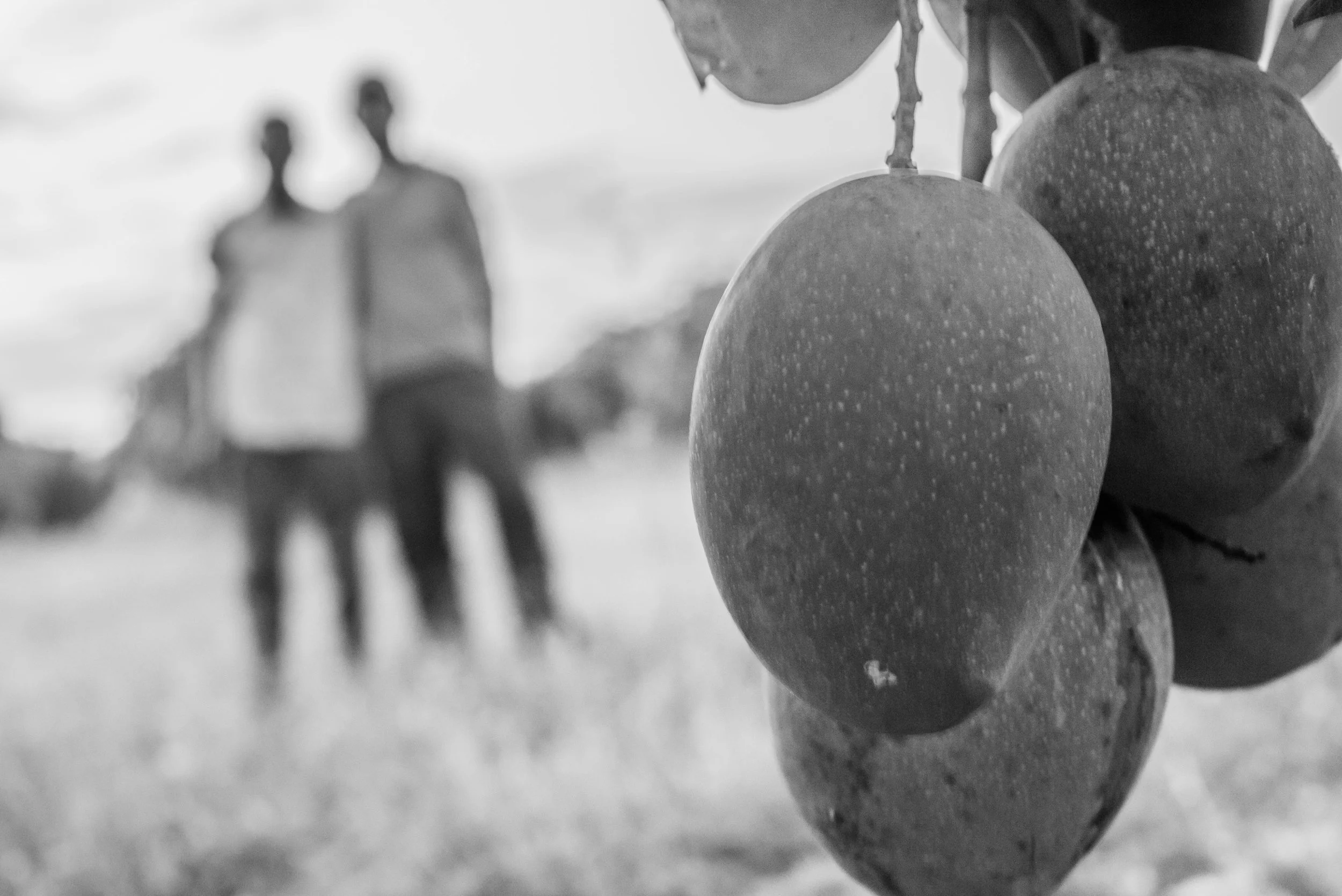 Our Needs — The Mango Project