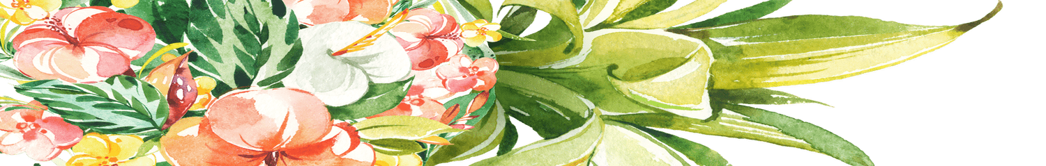 Maui Real Estate Photographer - FLOCUS Studio