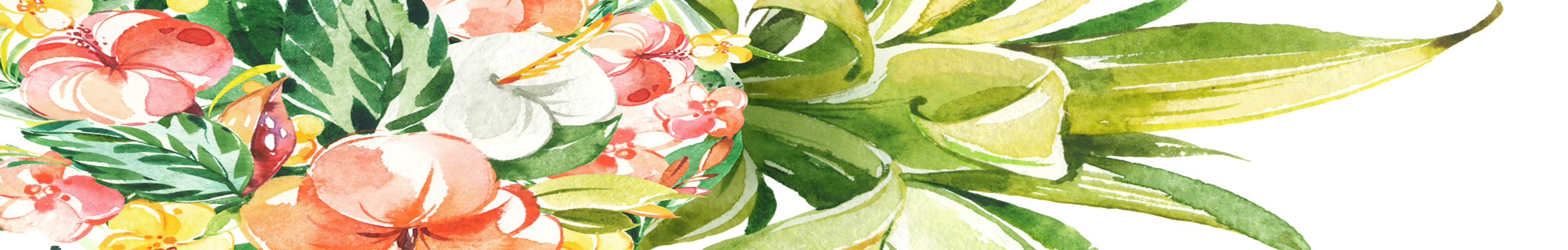 Maui Real Estate Photographer - FLOCUS Studio