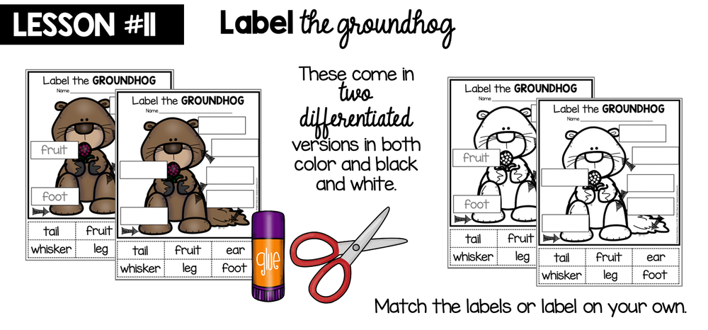 Groundhog Day in Kindergarten and First Grade FREEBIE — Keeping My ...