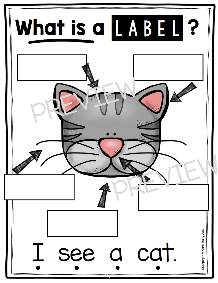 Writing at the Beginning of the Year in Kindergarten - LABELING FREEBIE ...