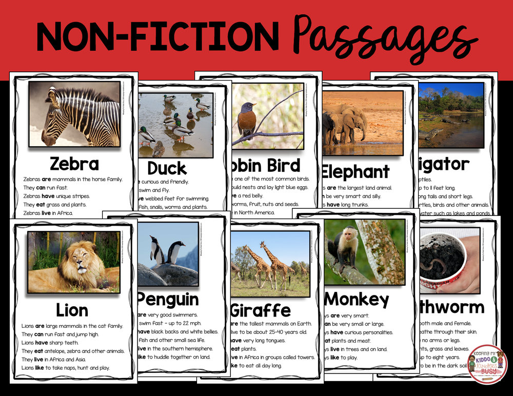 Non-Fiction Writing Unit FREEBIE — Keeping My Kiddo Busy