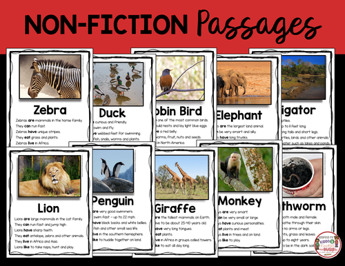 Non-Fiction Writing Unit FREEBIE — Keeping My Kiddo Busy