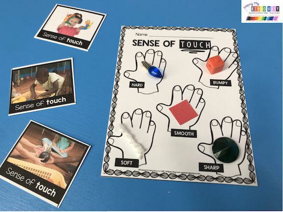 All About My Body and 5 Senses - FREE ACTIVITY - Science Unit 1 ...
