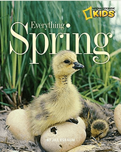 All About Spring - FREE ACTIVITIES - Reading and Enrichment — Keeping ...