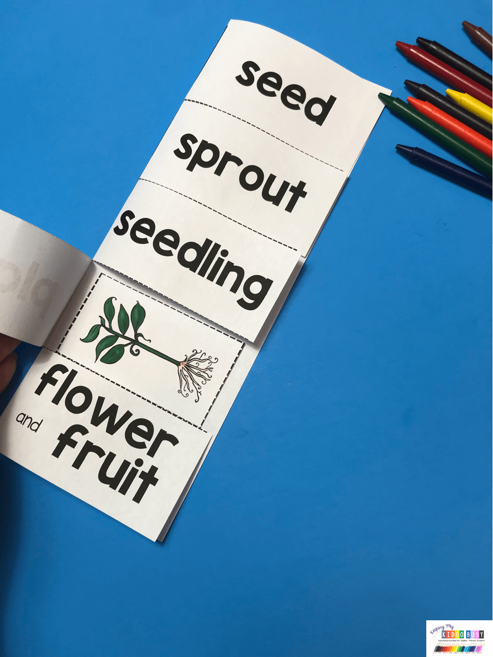 All About Spring - FREE ACTIVITIES - Reading and Enrichment — Keeping ...