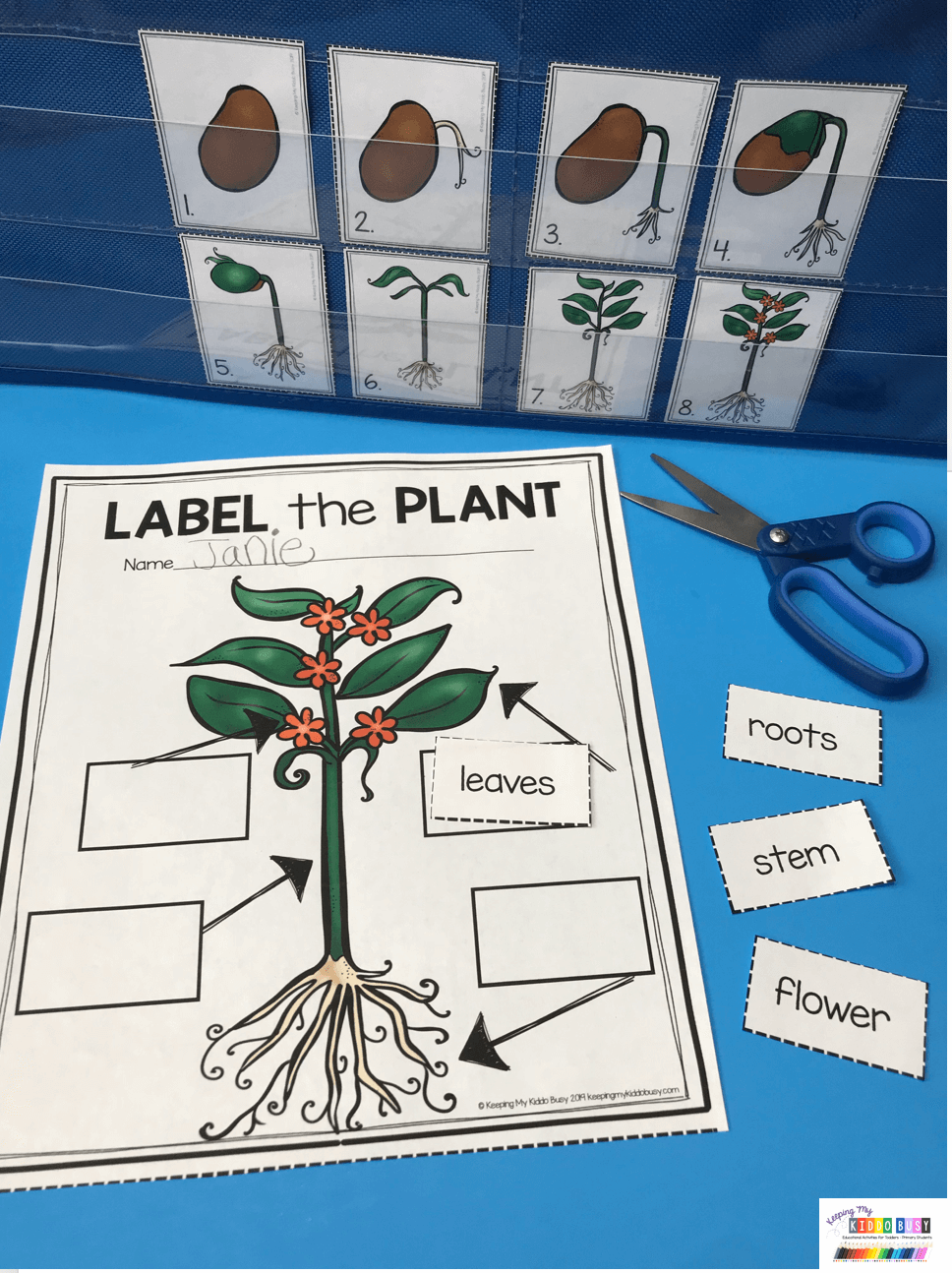 All About Spring - FREE ACTIVITIES - Reading and Enrichment — Keeping ...