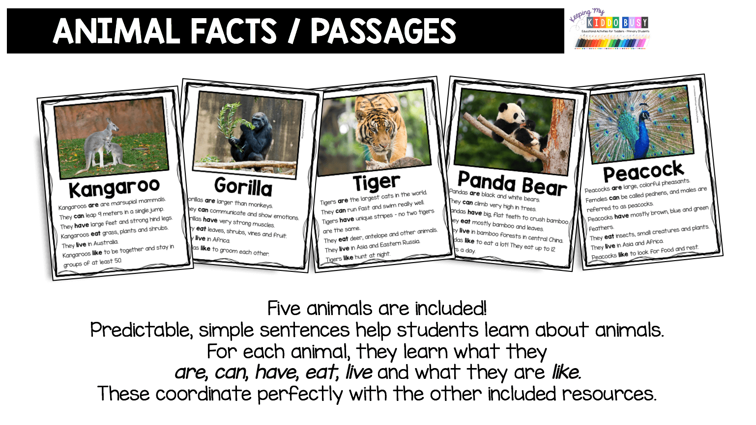 Animal Reports — Keeping My Kiddo Busy