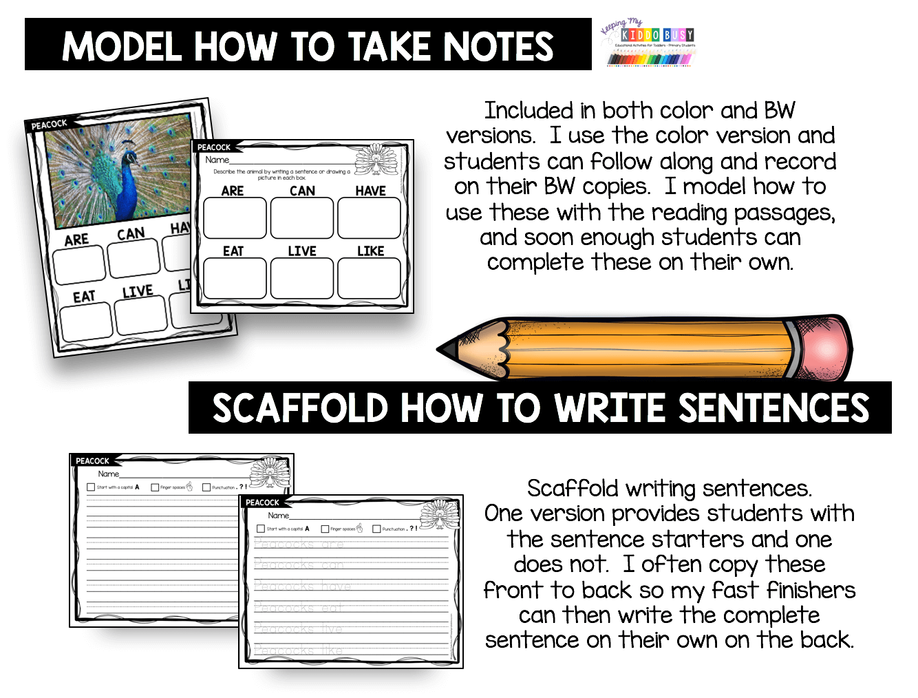 Animal Reports — Keeping My Kiddo Busy