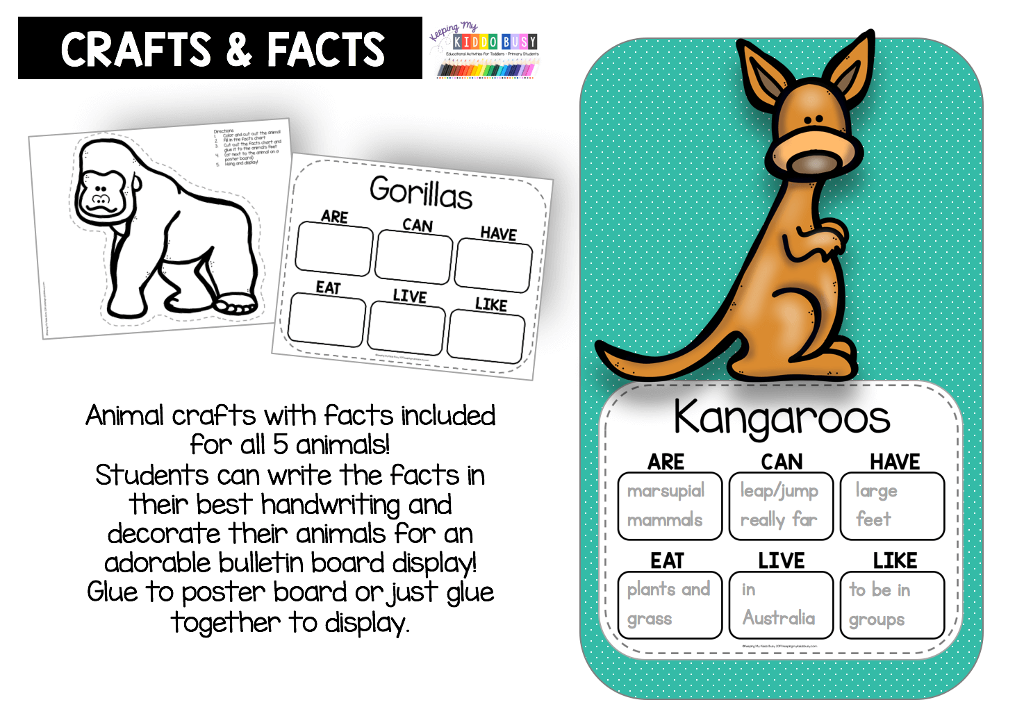 Animal Reports — Keeping My Kiddo Busy