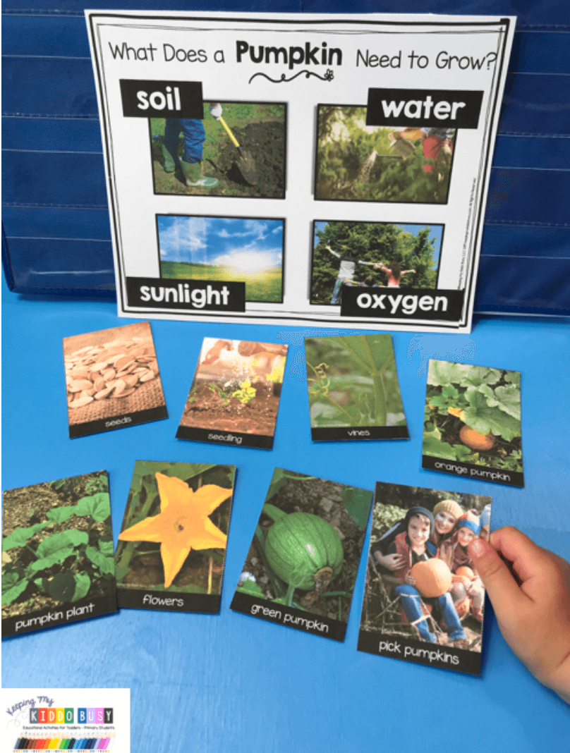 October Week 2 - Lesson Round-Up — Keeping My Kiddo Busy