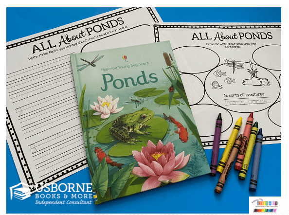 ANIMAL HABITAT Book Companions — Keeping My Kiddo Busy