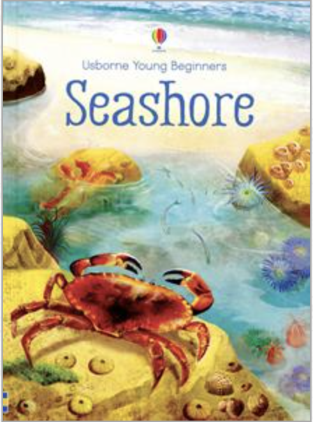 ANIMAL HABITAT Book Companions — Keeping My Kiddo Busy