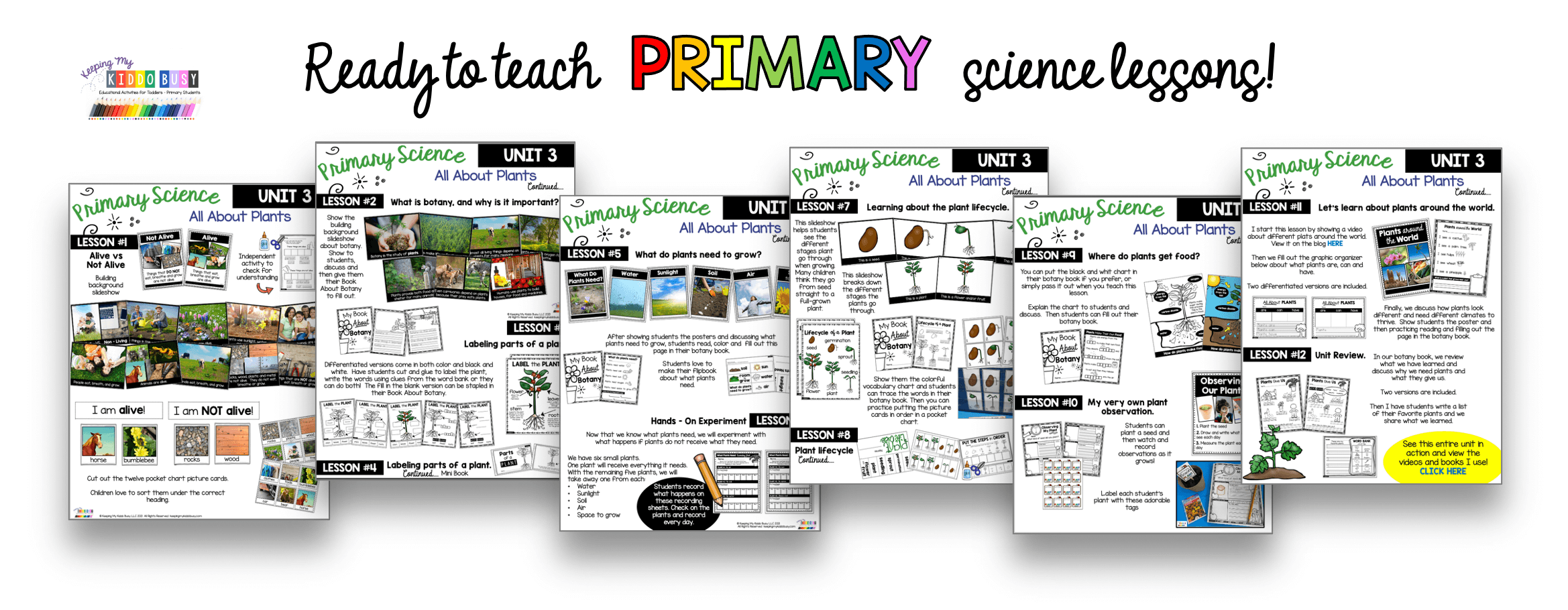 All About Plants Science Unit - FREE ACTIVITY — Keeping My Kiddo Busy
