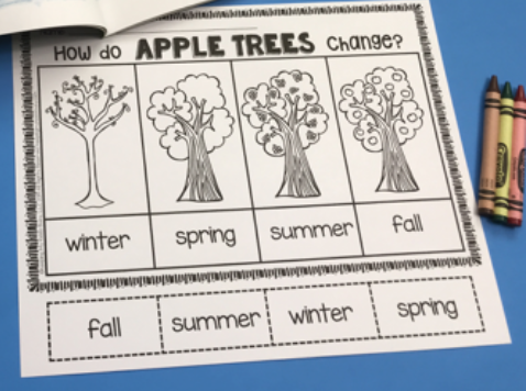 All About Apples - FREEBIE! — Keeping My Kiddo Busy