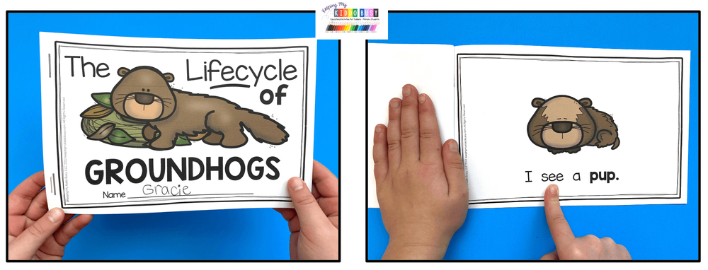 Groundhog Day in Kindergarten and First Grade FREEBIE — Keeping My ...