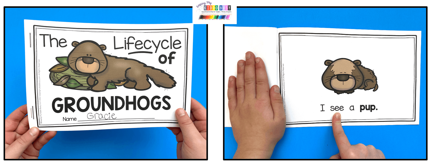 Groundhog Day in Kindergarten and First Grade FREEBIE — Keeping My ...