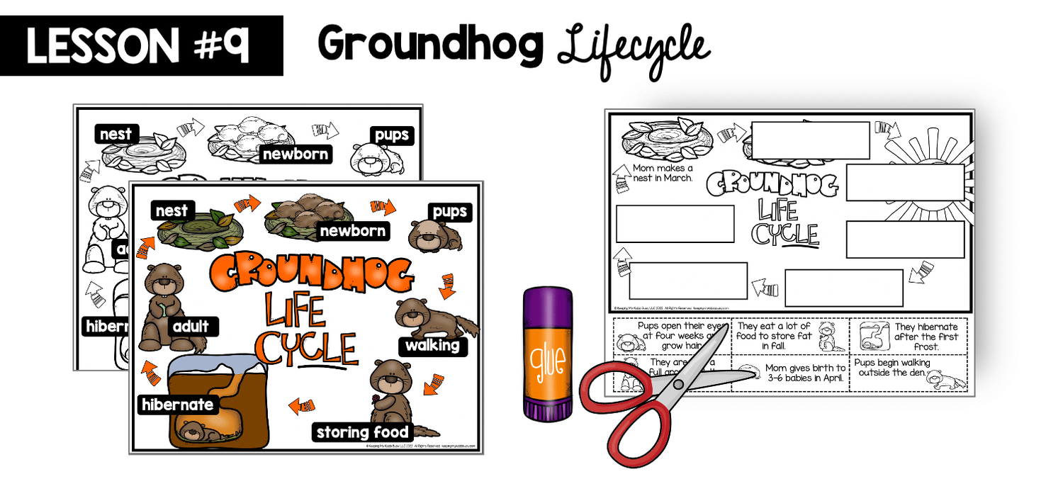 Groundhog Day in Kindergarten and First Grade FREEBIE — Keeping My ...