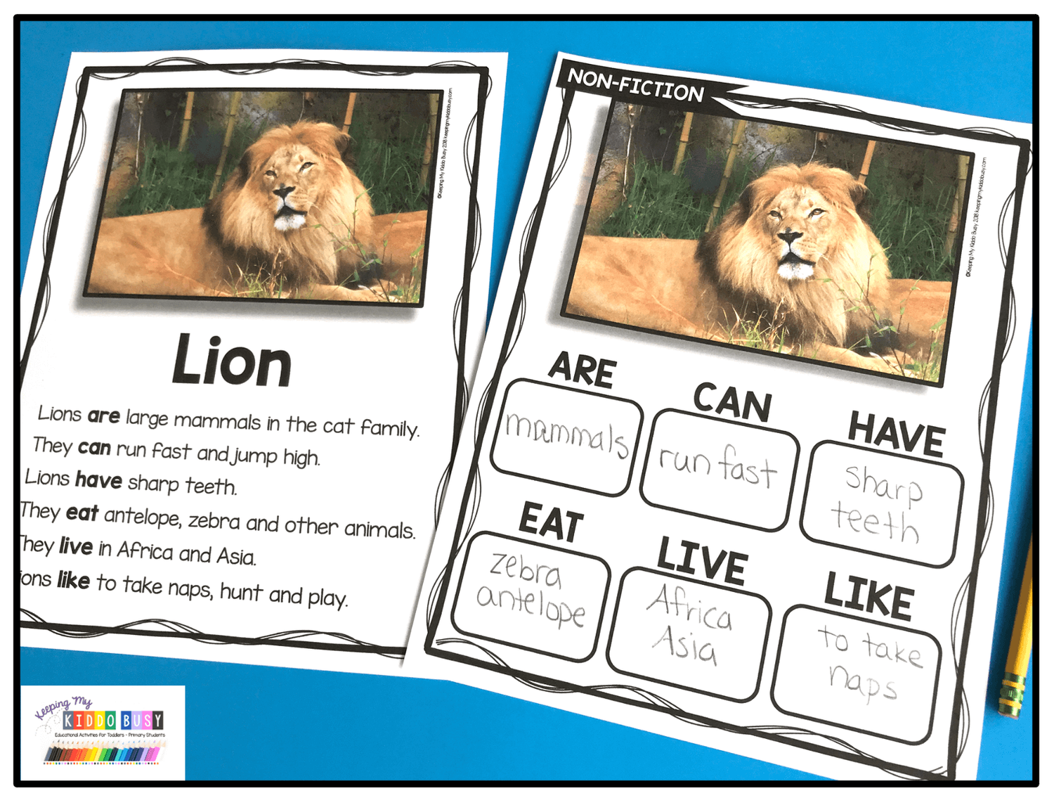 Non-Fiction Writing Unit FREEBIE — Keeping My Kiddo Busy