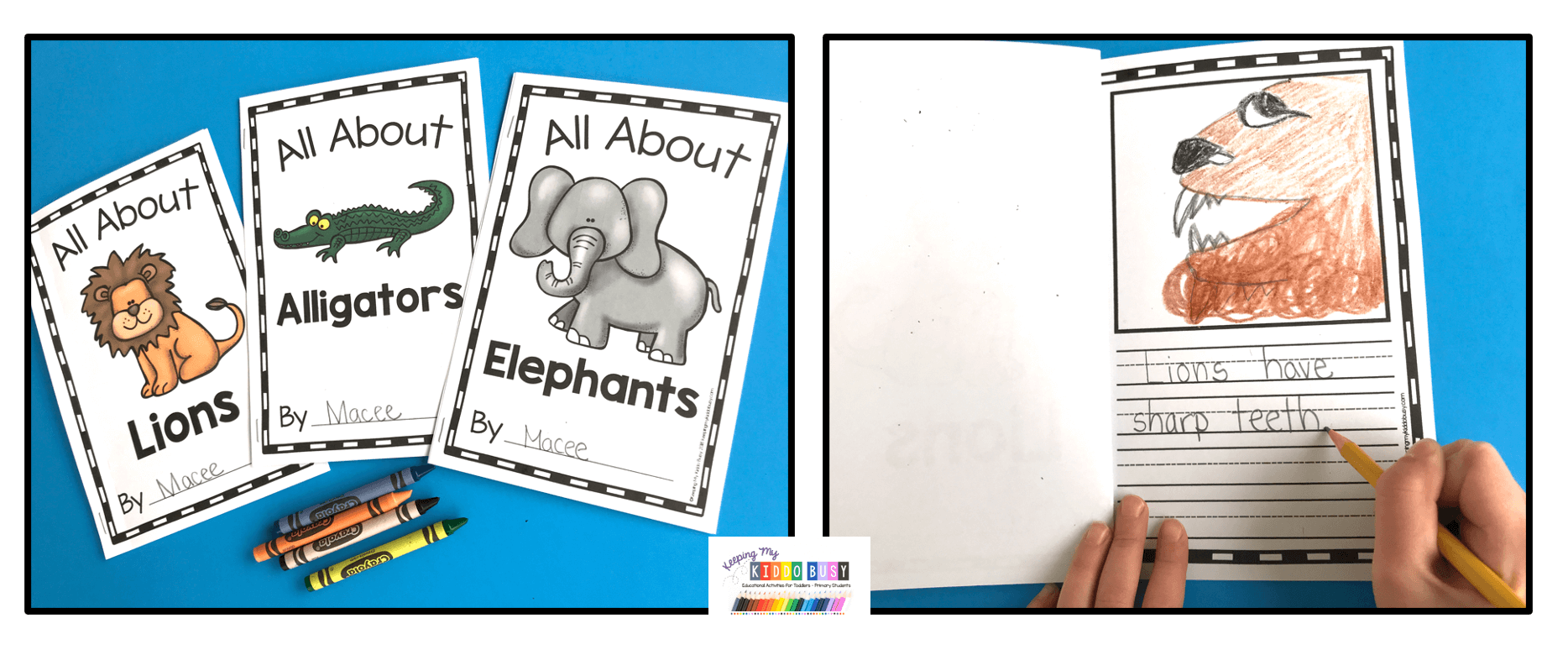 Non-Fiction Writing Unit FREEBIE — Keeping My Kiddo Busy