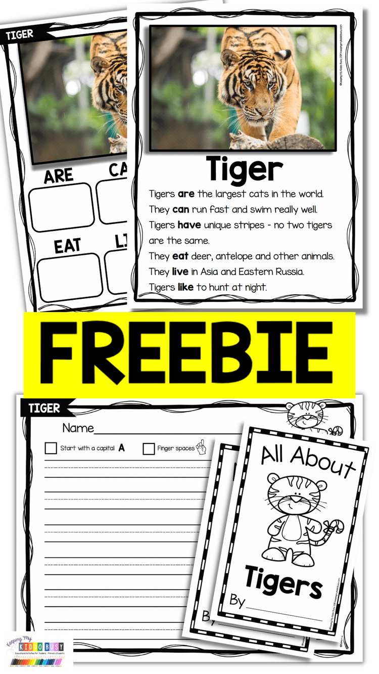 Animal Reports — Keeping My Kiddo Busy