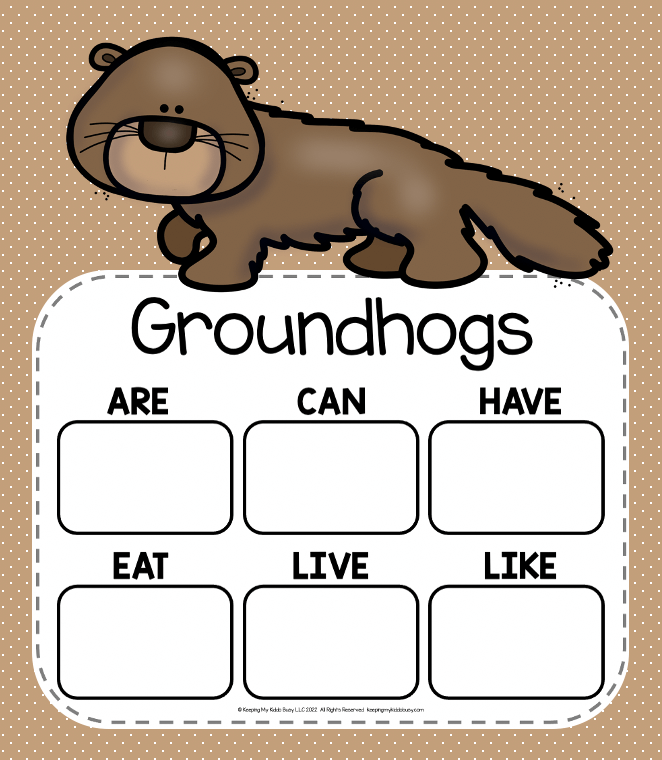 Groundhog Day in Kindergarten and First Grade FREEBIE — Keeping My ...